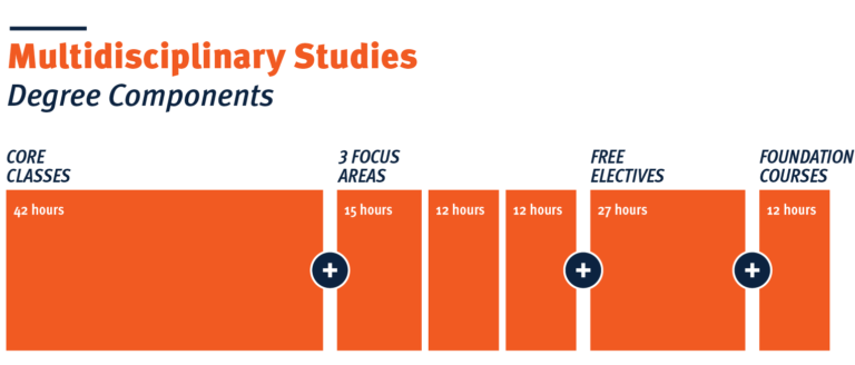 BA in Multidisciplinary Studies | UT San Antonio Online